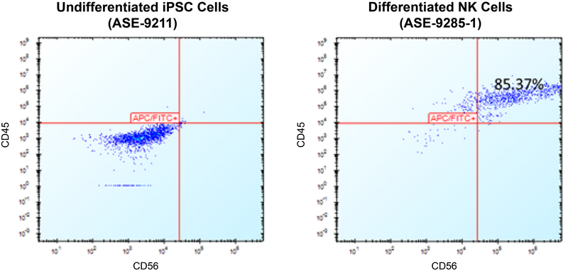 iPSC-derived NK cells—limited time promotion - Applied StemCell